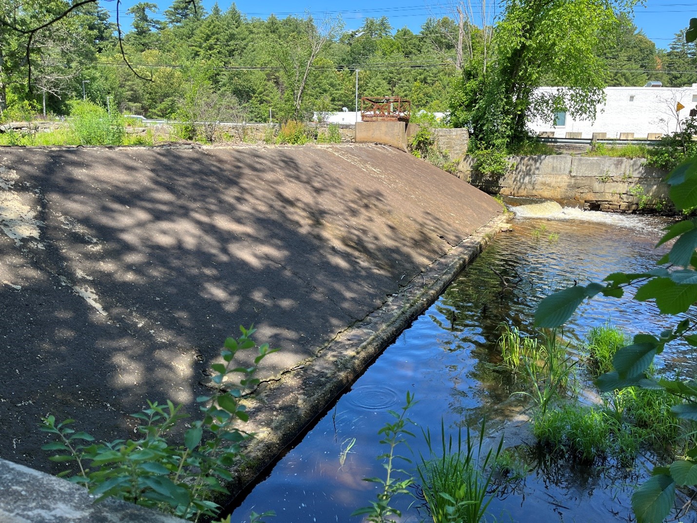 Church Manufacturing Co. Dam Removal and Chicopee Brook Restoration ...